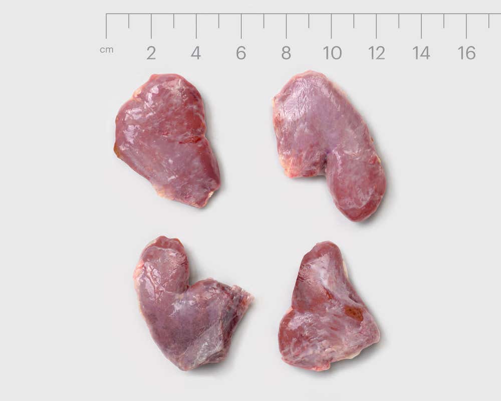 thymus gland cow function